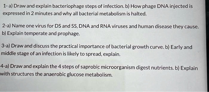 1-a) Draw and explain bacteriophage steps of infection. b) How phage ...