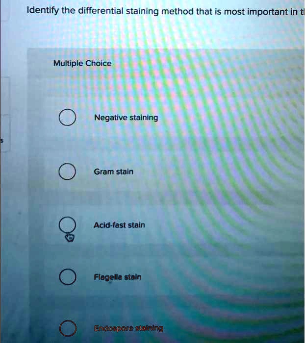 Identify the differential staining method that is most important in the ...