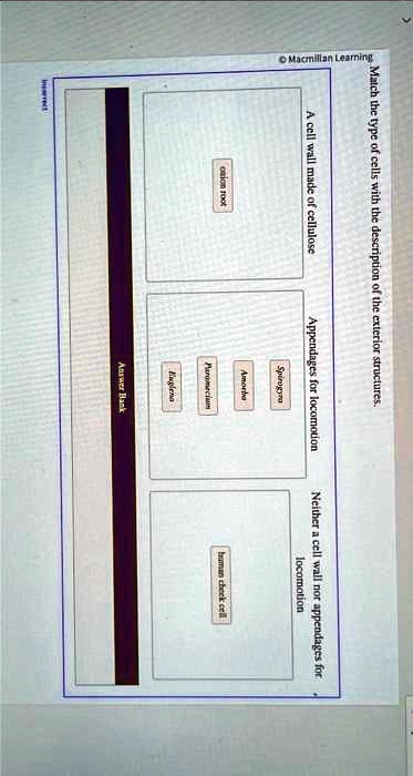 SOLVED: Texts: Match the type of cells with the description of the ... SOLVED: Texts: Match the type of cells with the description of the ...