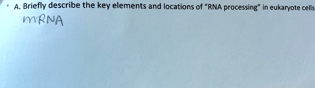 SOLVED: A. Briefly describe the key - elements and locations of "RNA ...