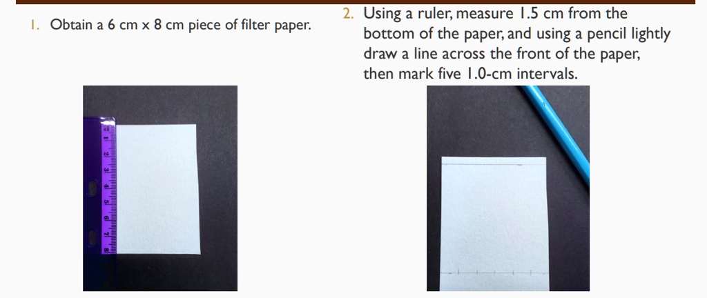 SOLVED: Using a ruler; measure /.5 cm from the bottom of the paper; and ...