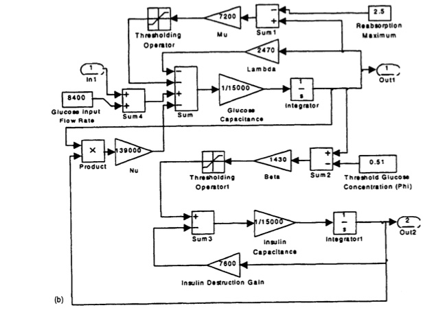 SOLVED: Construct the Simulink model of glucose-insulin regulation ...