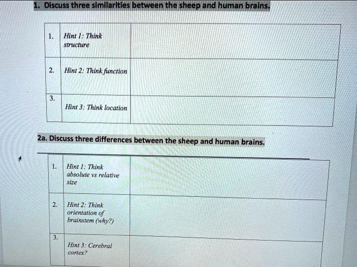 discuss three similarities between the sheeprand human brains hint ...