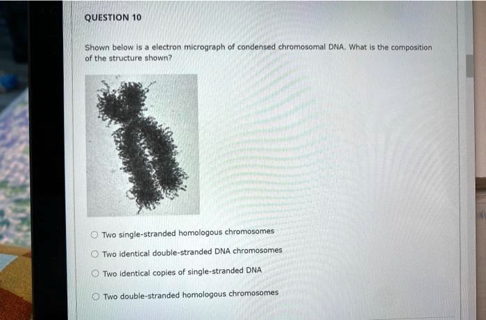 question 10 shown below 3 electron micrograph 0f condanked chromosomal ...