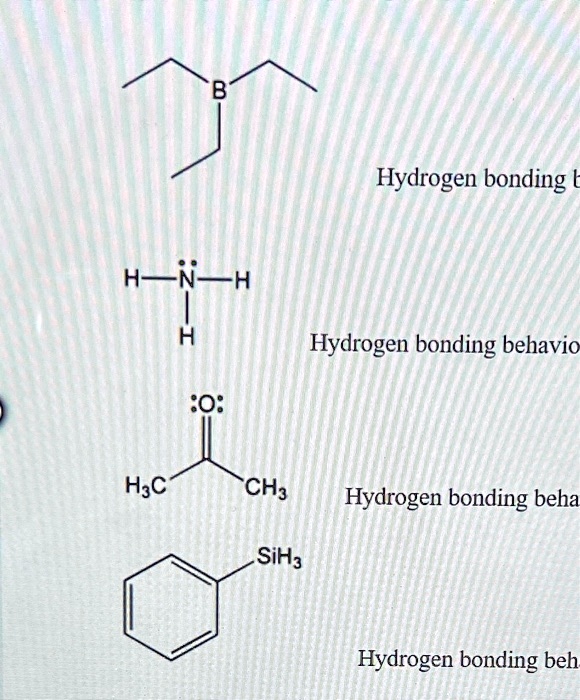 SOLVED: Hydrogen bonding = H N-H Hydrogen bonding behavio :0 H;C ...