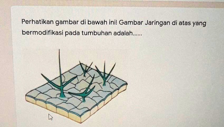 SOLVED: 1 poinPerhatikan gambar di bawah ini! Gambar Jaringan di atas ... SOLVED: 1 poinPerhatikan gambar di bawah ini! Gambar Jaringan di atas ...