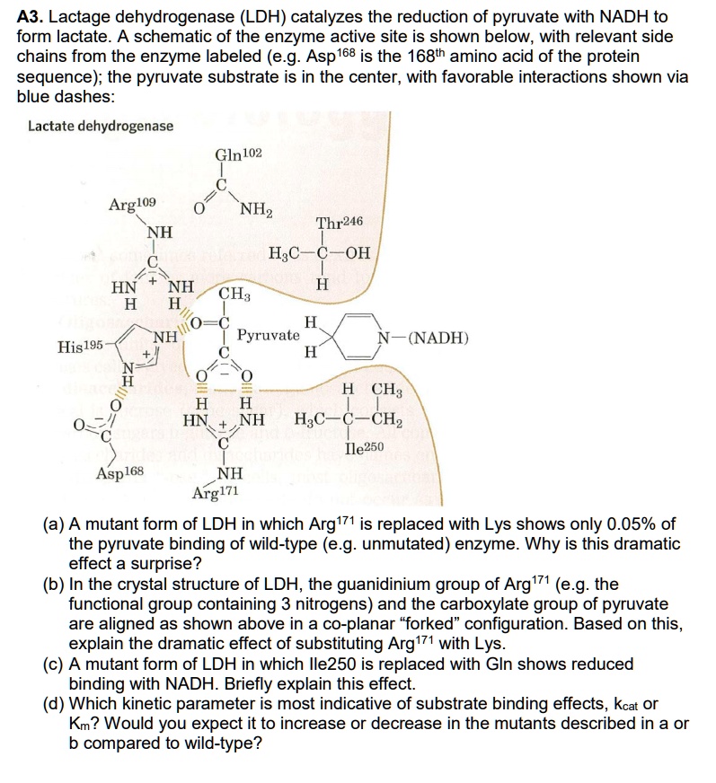 SOLVED: A3. Lactate dehydrogenase (LDH) catalyzes the reduction of ...
