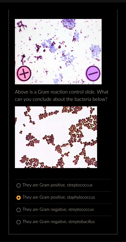 above is a gram reaction control slide what can you conclude about the ...