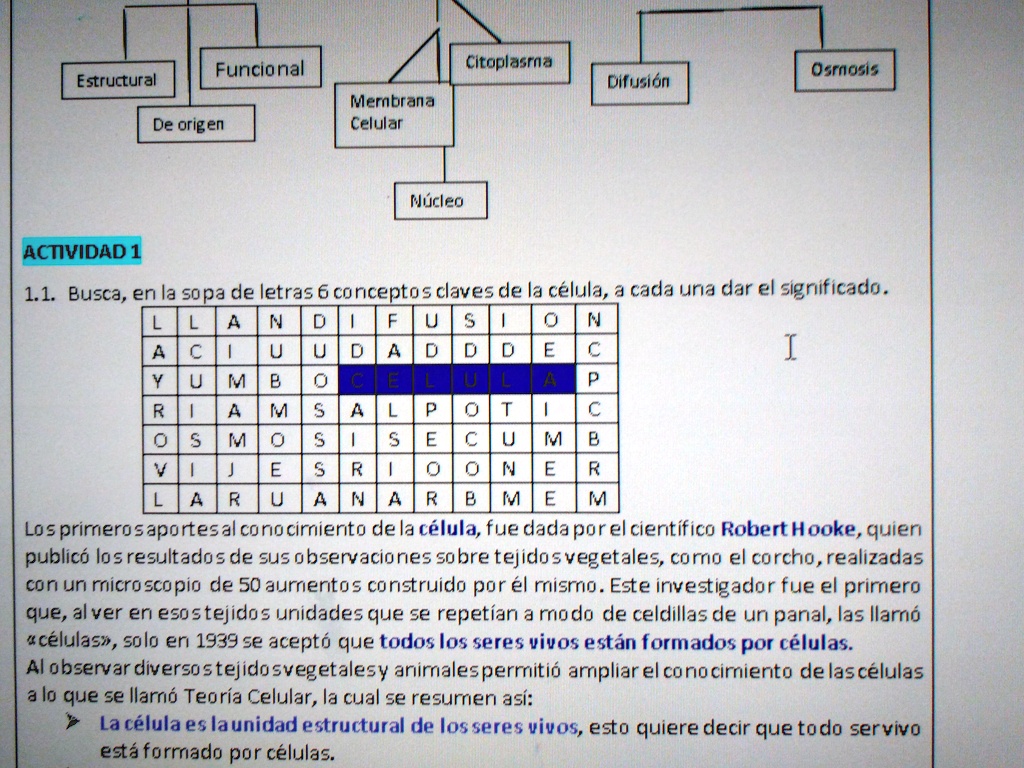 SOLVED: Me ayudan porfavor es la actividad 1 Funcional Citoplasrna ...