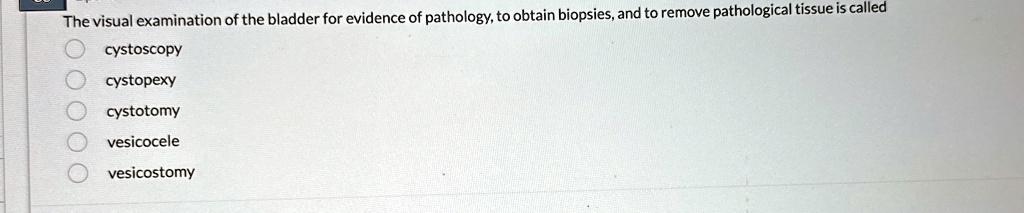 [GET ANSWER] the visual examination of the bladder for evidence of ...