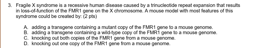 fragile x syndrome is a recessive human disease caused by a ...