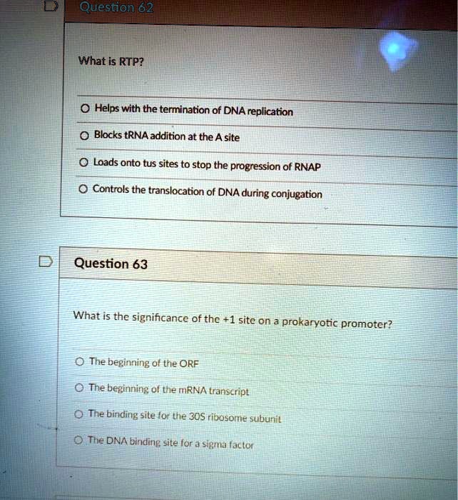 Solvedquestion 62 What Is Rtp Helps With The Termination Of Dna Replication Blocks Trna 