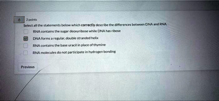 2points select all the statements below which correctly describe the differences between dna and ...