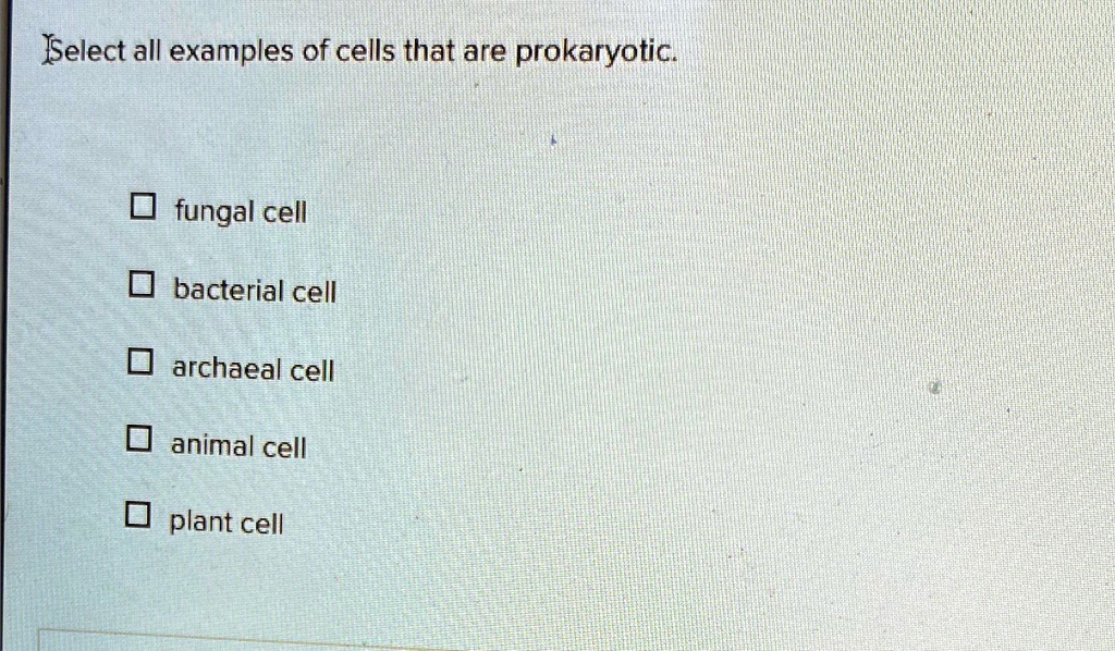Select all examples of cells that are prokaryotic. fungal cell ...