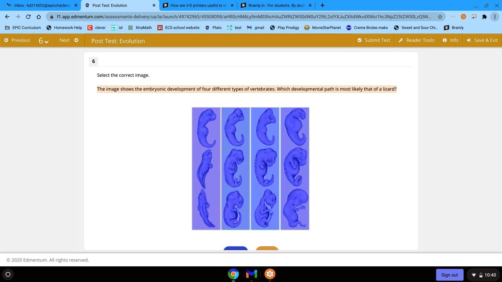 6 Select the correct image. The image shows the embryonic development ...