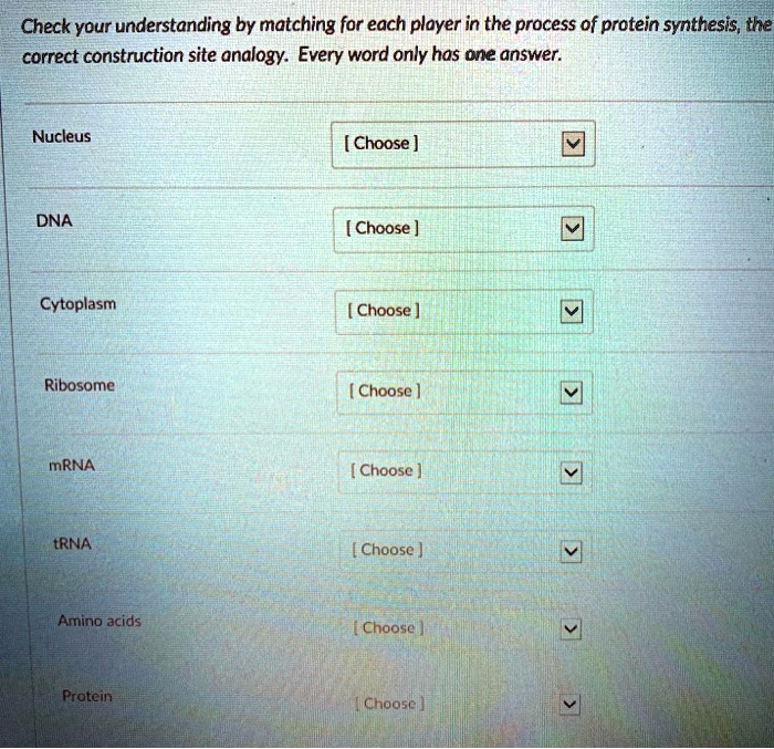 check your understanding by matching for each player in the process of ...