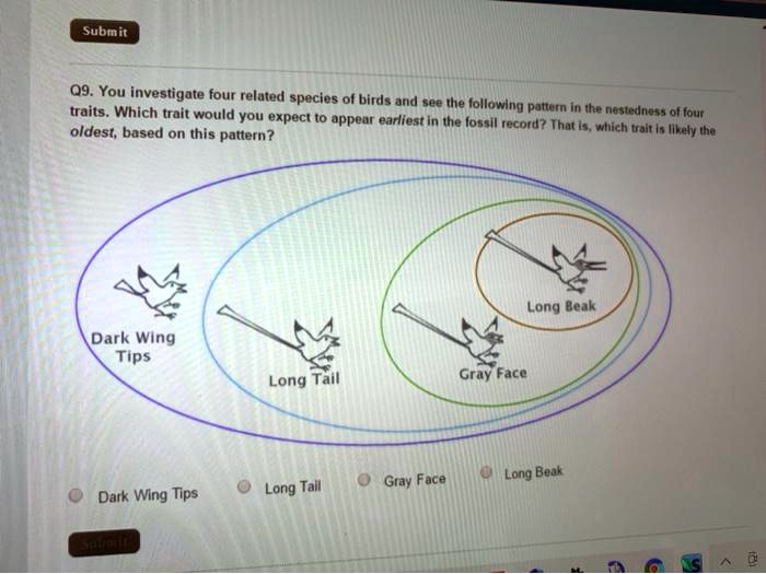 09i You investigate four related species of birds and see the following ...
