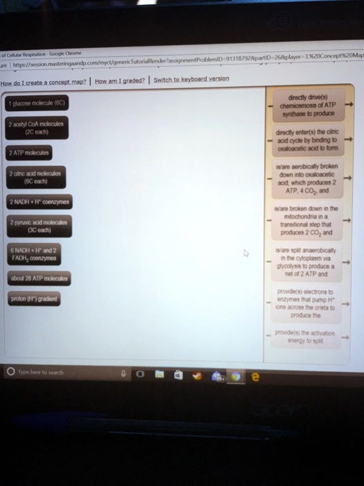 of Cellular Respiration Google Chrome are https://session ...