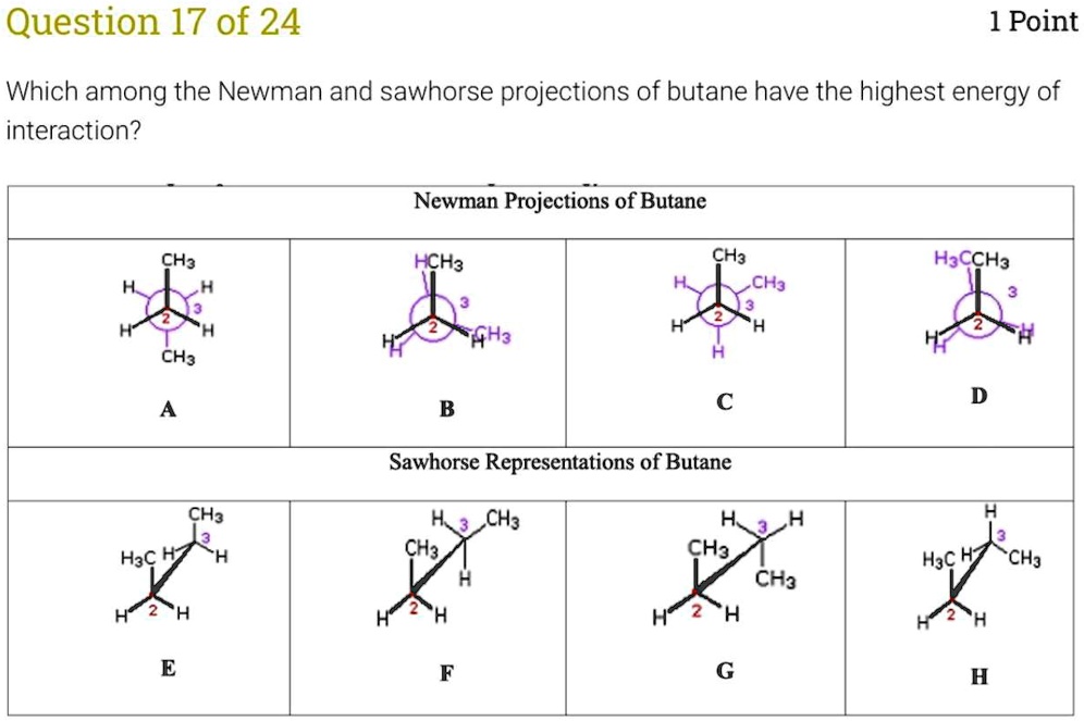 [GET ANSWER] Question 17 of 24 1 Point Which among the Newman and sawhorse projections of butane ...