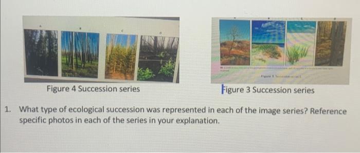 Figure 4 Succession series Figure 3 Succession series 1. What type of ...