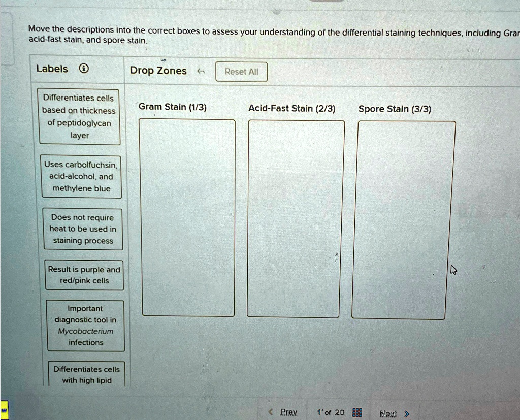 move the descriptions into the correct boxes to assess your ...