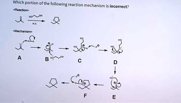 SOLVED: Which portion of the following reaction mechanism is incorrect? SOLVED: Which portion of the following reaction mechanism is incorrect?