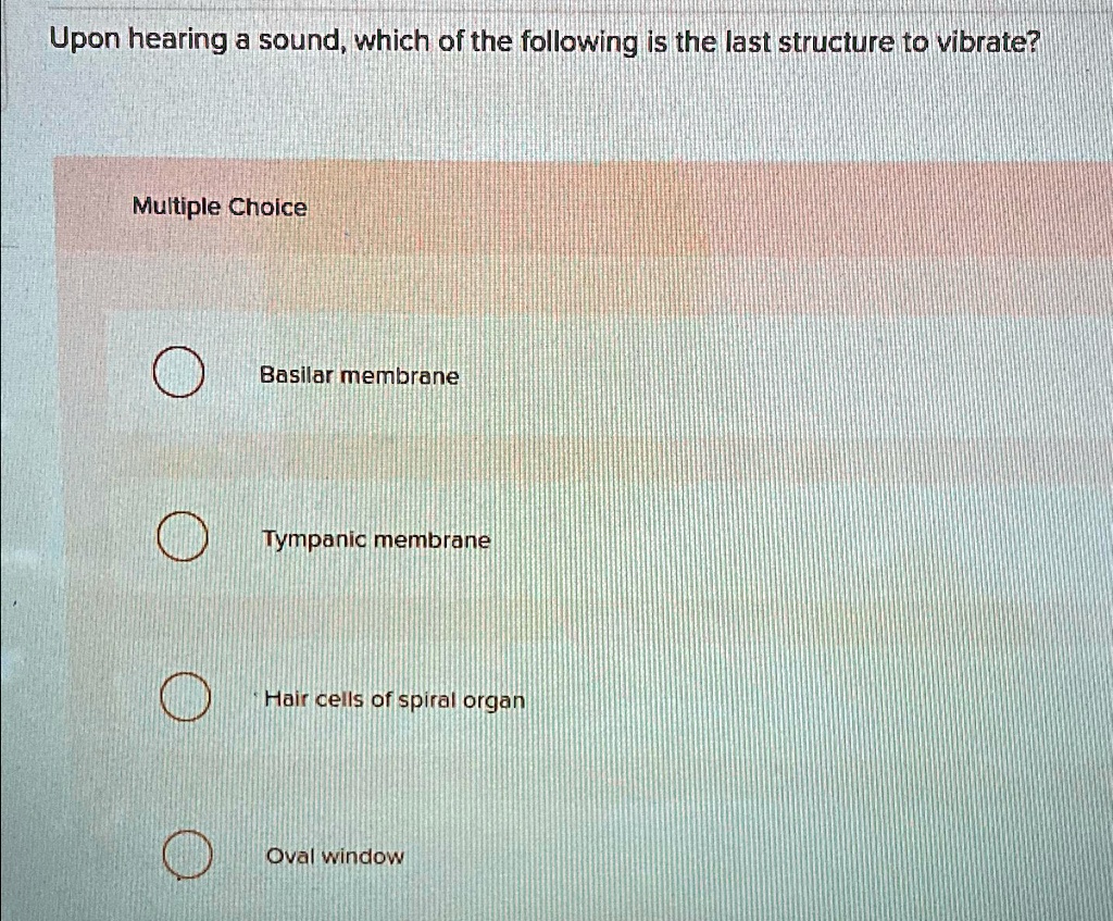 SOLVED: Upon hearing a sound, which of the following is the last structure to vibrate? Multiple ...