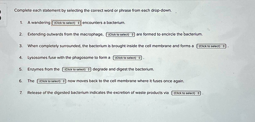 Complete each statement by selecting the correct word or phrase from each drop-down. 1. A ...