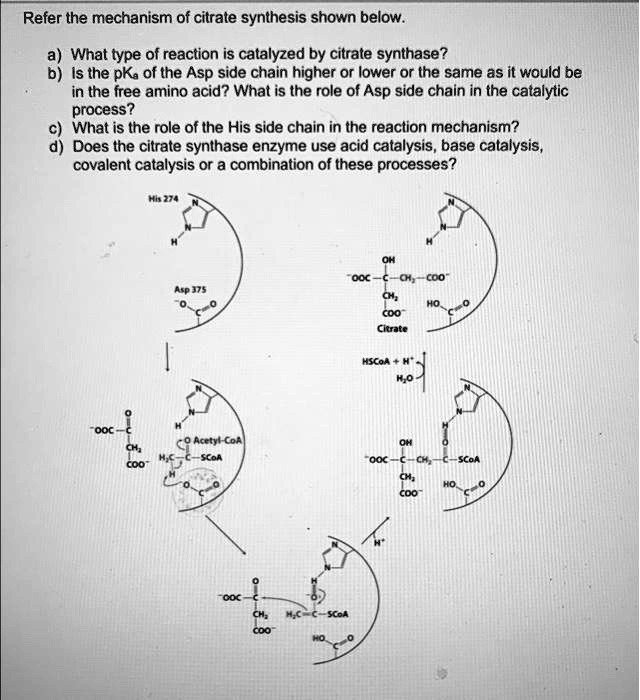 SOLVED: Refer to the mechanism of citrate synthesis shown below: a ...