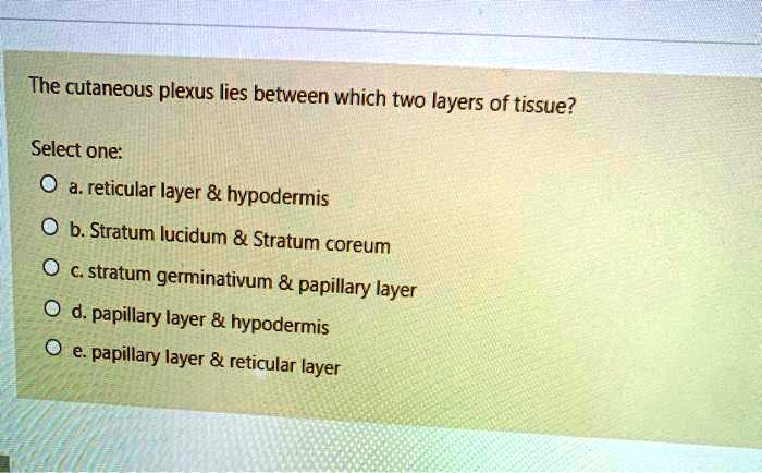 SOLVED: The cutaneous plexus lies between which two layers of tissue ...