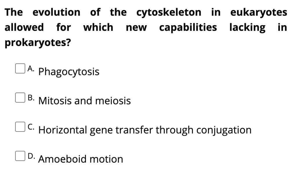 SOLVED: The evolution of the cytoskeleton in eukaryotes allowed for ...