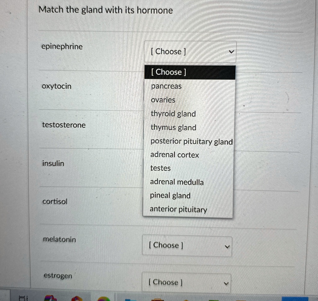 match the gland with its hormone epinephrine oxytocin testosterone ...