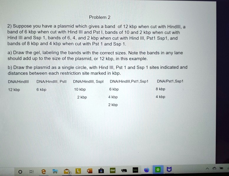 2) Suppose you have a plasmid which gives a band of 12 kbp when cut ...