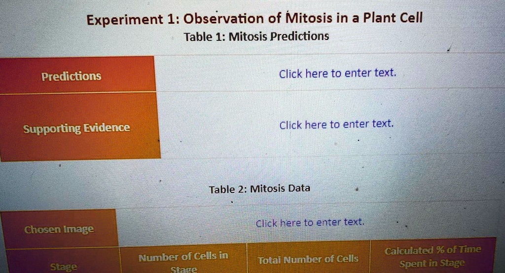 SOLVED: Experiment 1: Observation of Mitosis in a Plant Cell Table 1 ...