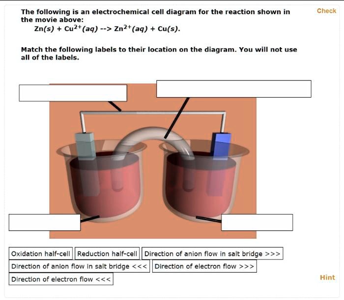 The following is an electrochemical cell diagram for the reaction shown in the movie above: Zn(s ...