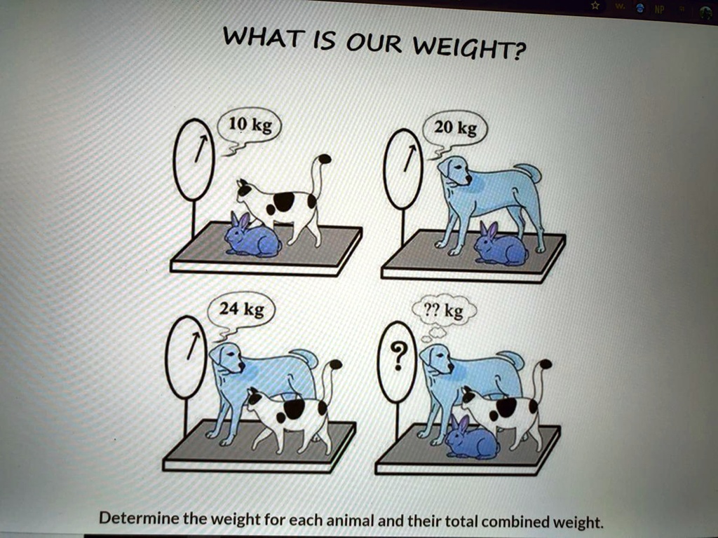 WHAT IS OUR WEIGHT? 10 kg 20 kg 24 kg ?? kg ? Determine the weight for ...
