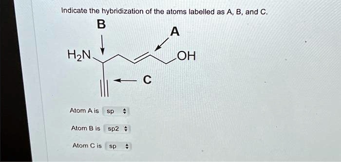 Texts Indicate The Hybridization Of The Atoms Labelled As A B And C B A H2n Atom A Is Sp Atom B