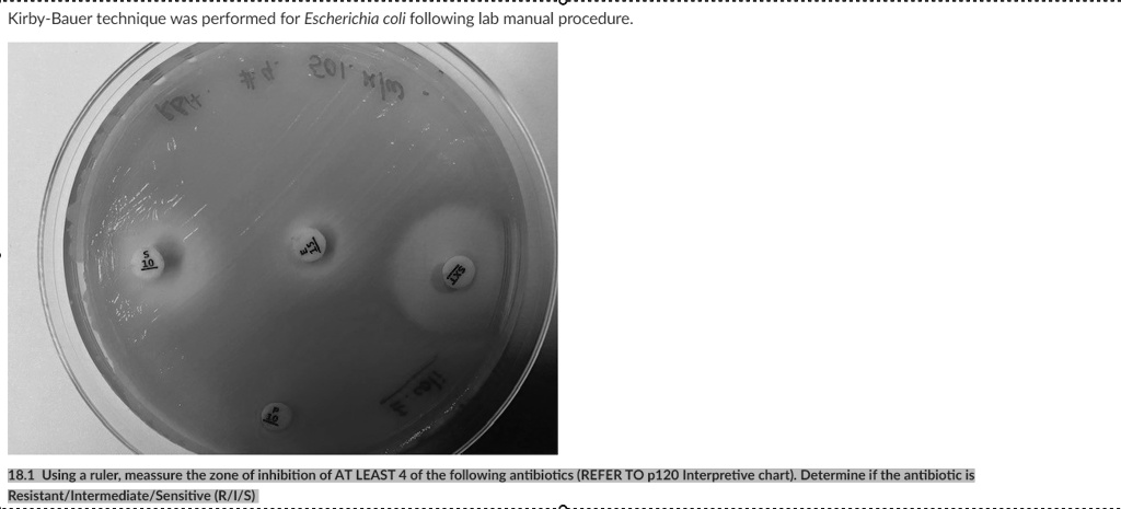 SOLVED: Kirby- Bauer technique was performed for Escherichia coli ... SOLVED: Kirby- Bauer technique was performed for Escherichia coli ...