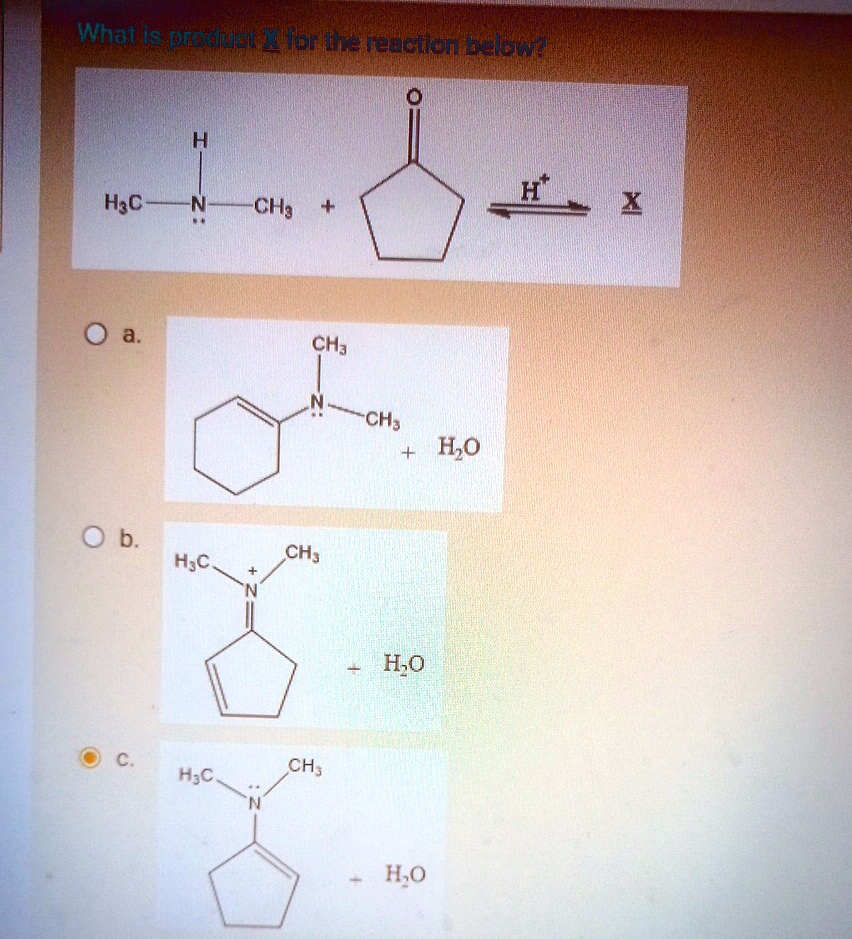 What is product X for the reaction below? H3C H ..N.. -CH3 + H+ X a ...