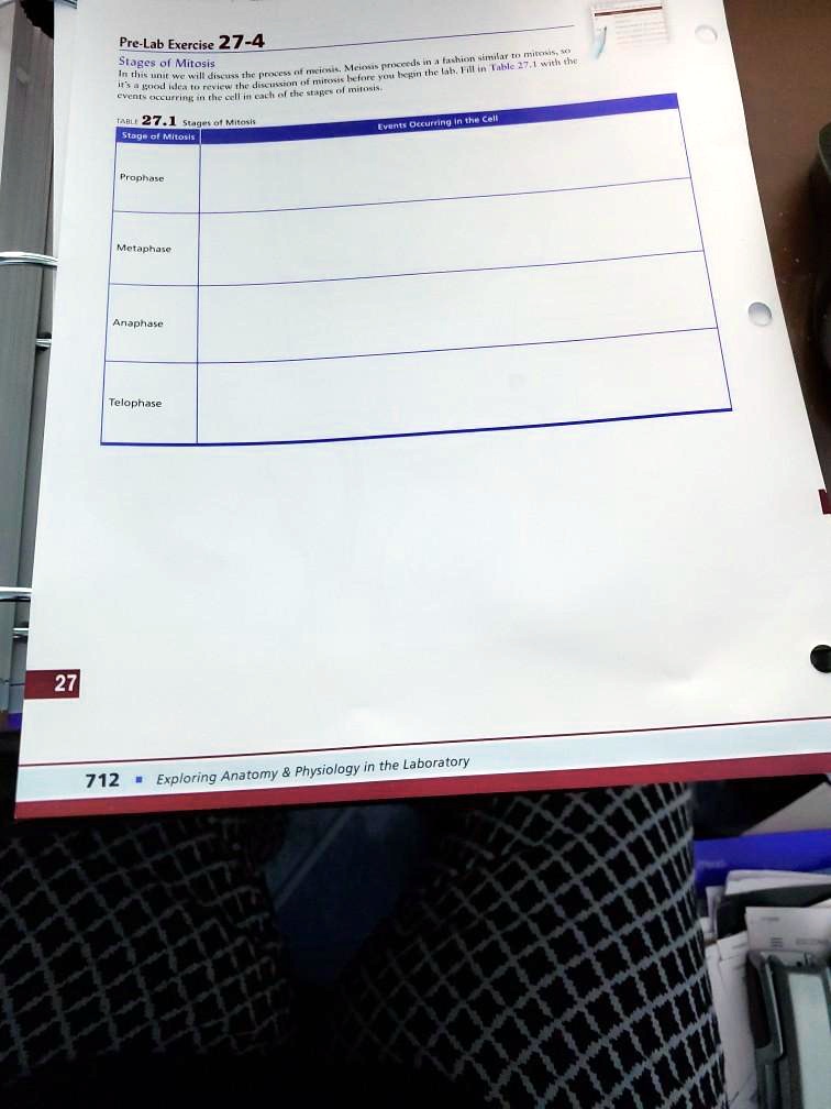 Pre-Lab Exercise 27-4: Stages of Mitosis Mitosis is the process of cell ...