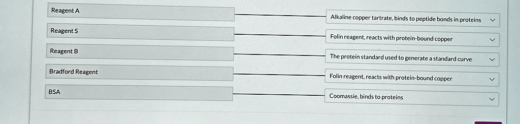 [GET ANSWER] reagent a reagent s reagent b bradford reagent bsa ...