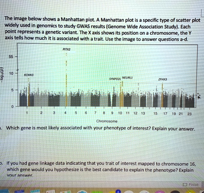 SOLVED: The image below shows a Manhattan plot. A Manhattan plot is a ...