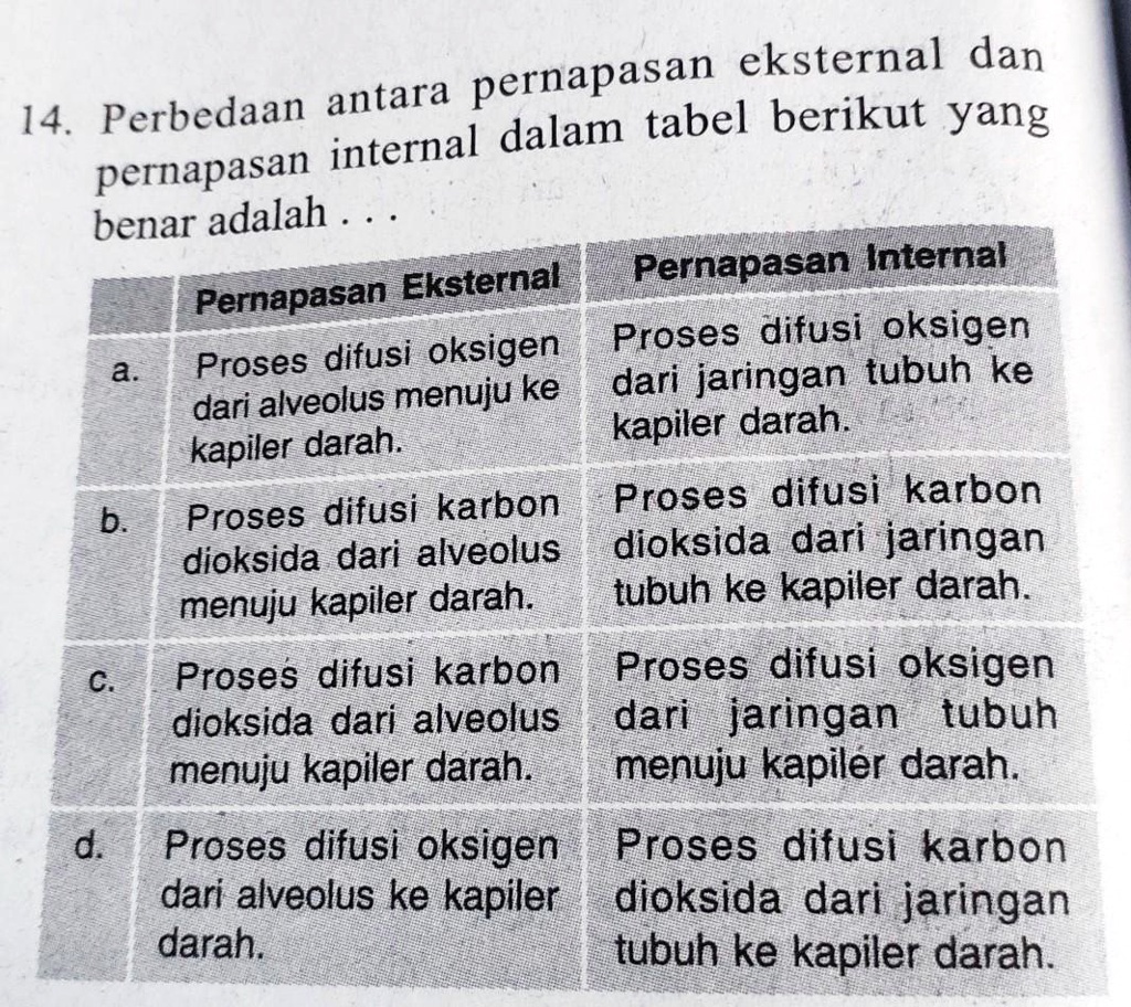 SOLVED: Tolong dijawab ya :) eksternal dan antara pernapasan 14 ...