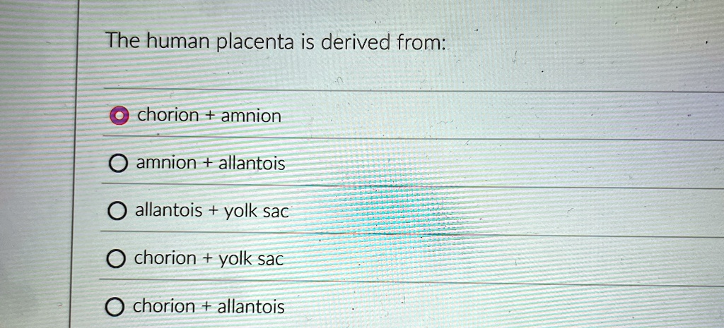 the human placenta is derived from chorion amnion amnion allantois ...
