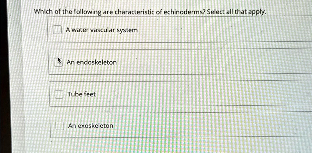 Which of the following are characteristic of echinoderms? Select all ...