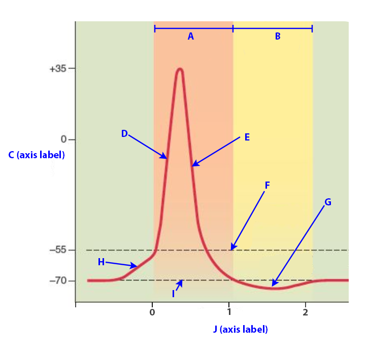 View the illustration below and match each letter to its correct ...