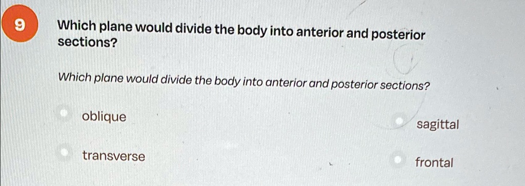 9 Which plane would divide the body into anterior and posterior ...
