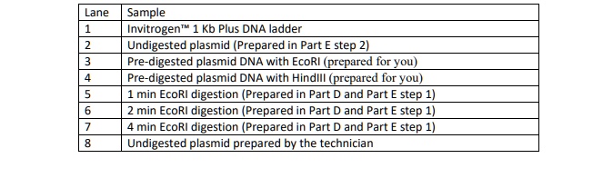 SOLVED: Lane Sample Invitrogen" 1 Kb Plus DNA ladder Undigested plasmid ...