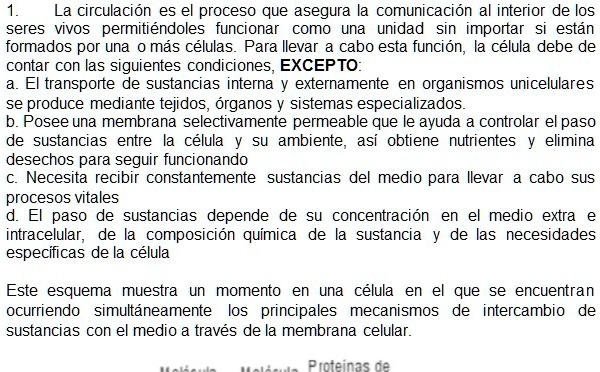 SOLVED: Holaa!! Por fav cuál es y por qué La circulación es el proceso ... SOLVED: Holaa!! Por fav cuál es y por qué La circulación es el proceso ...