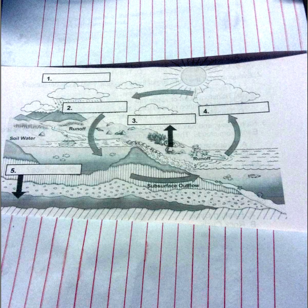 1. 2. 4. 3. Runoff Soil Water 5. Runoff Subsurface Outflow